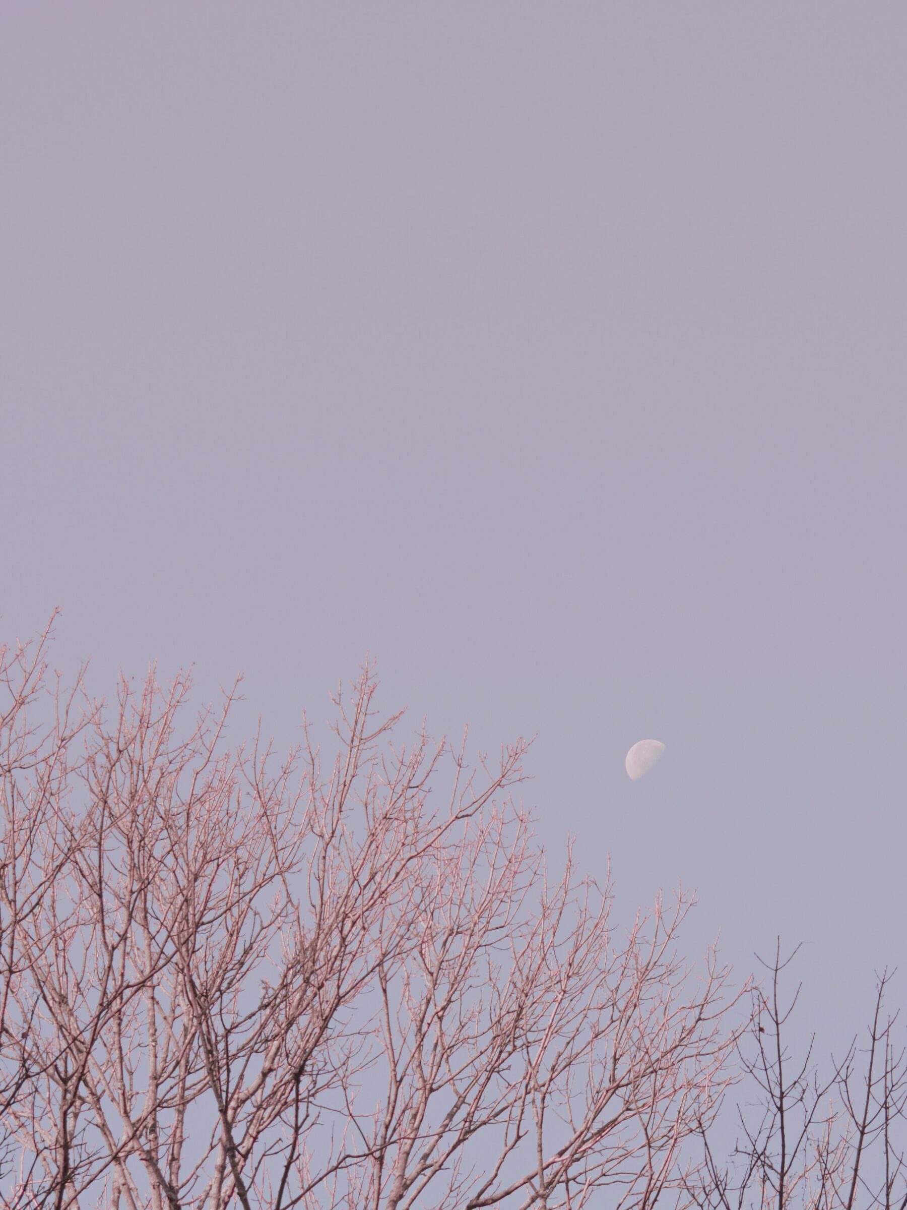 Words By Erta – a cozy nook where words matter