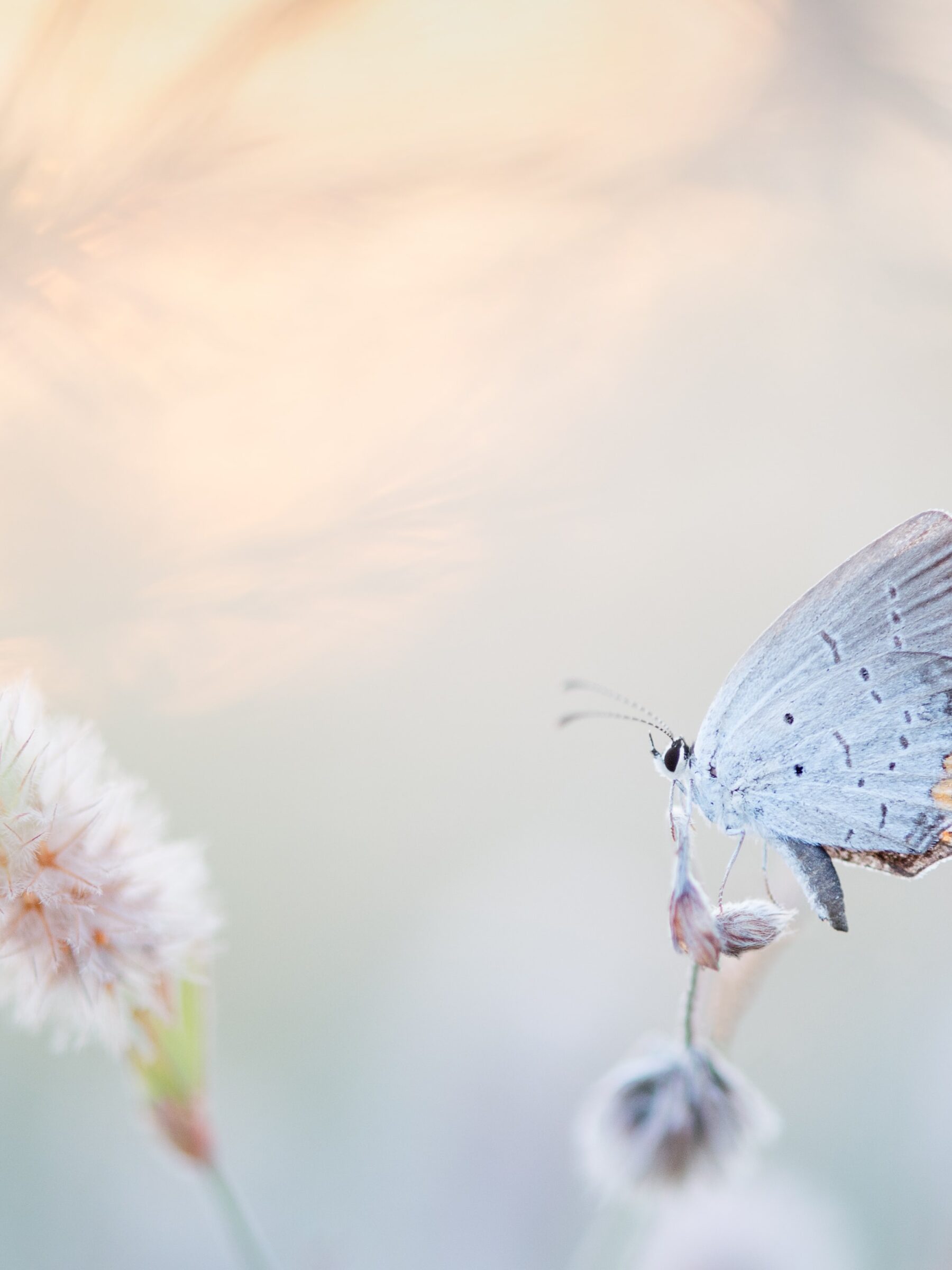 Words By Erta – a cozy nook where words matter